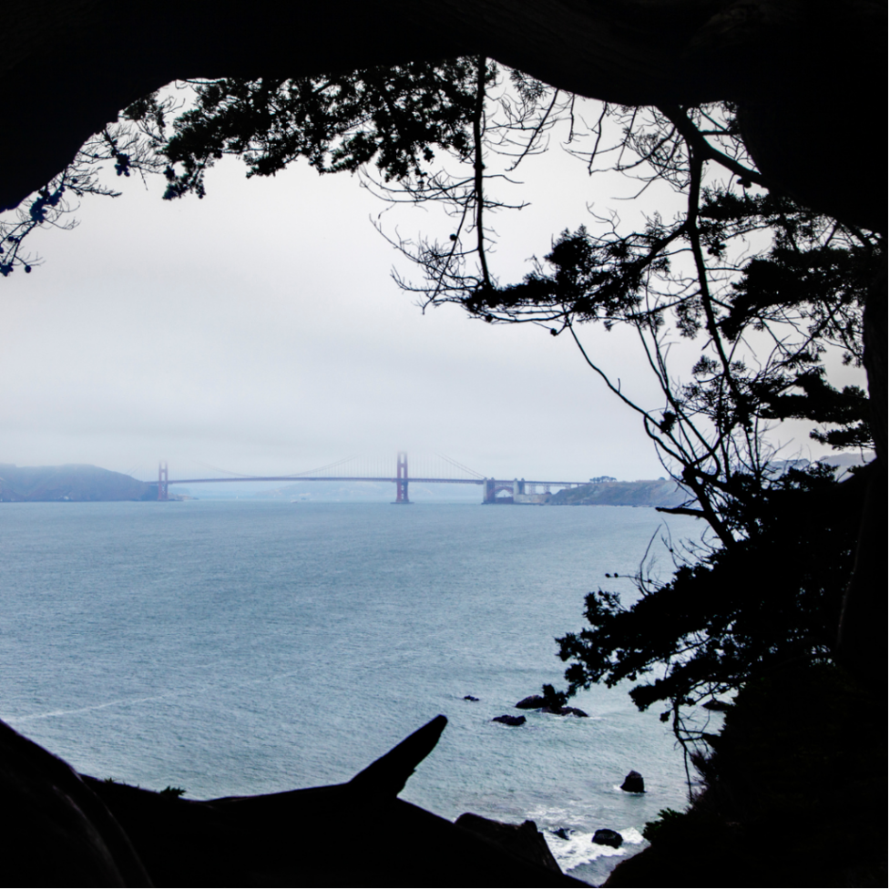 Top 10 Things to Do in St. Louis During Winter