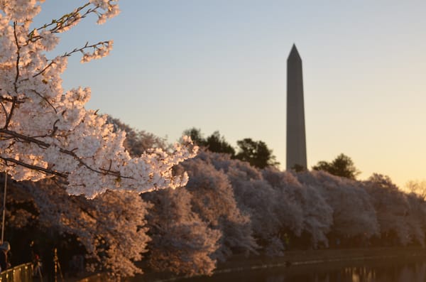 Washington DC 2-Day Itinerary